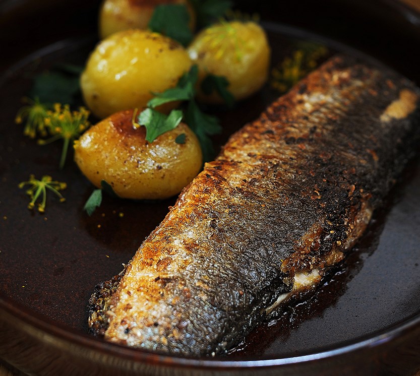 Sild, potet og rødkål | Appetitt